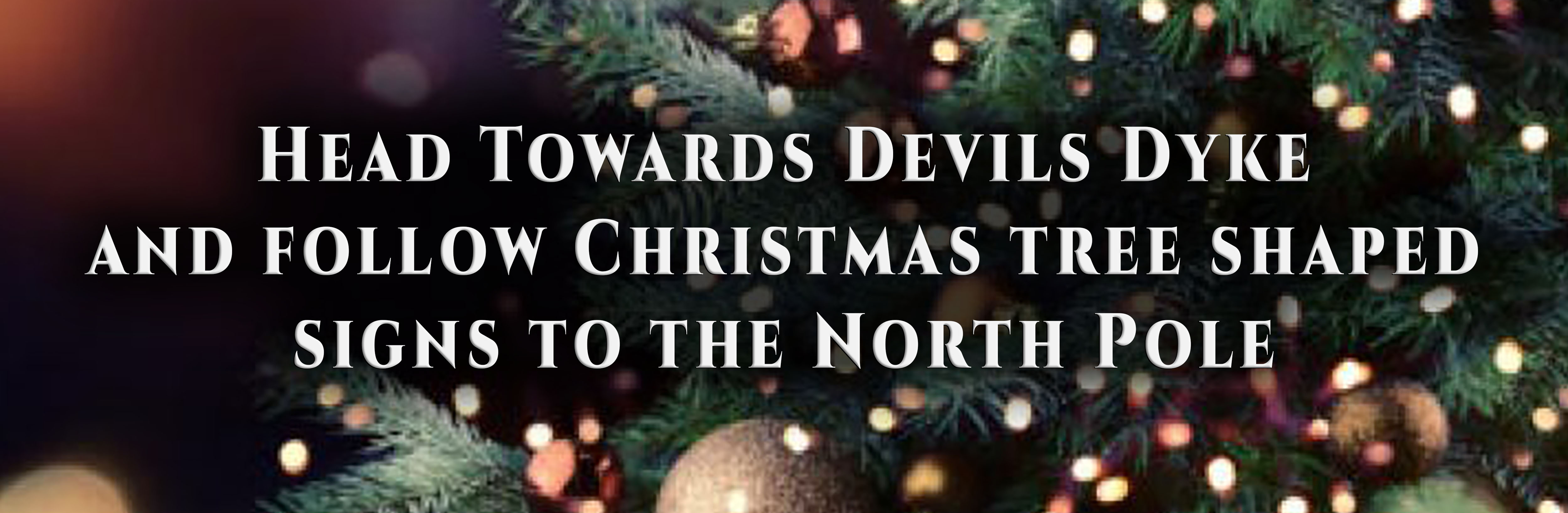 Devils Dyke Christmas Trees - Brighton & Hove